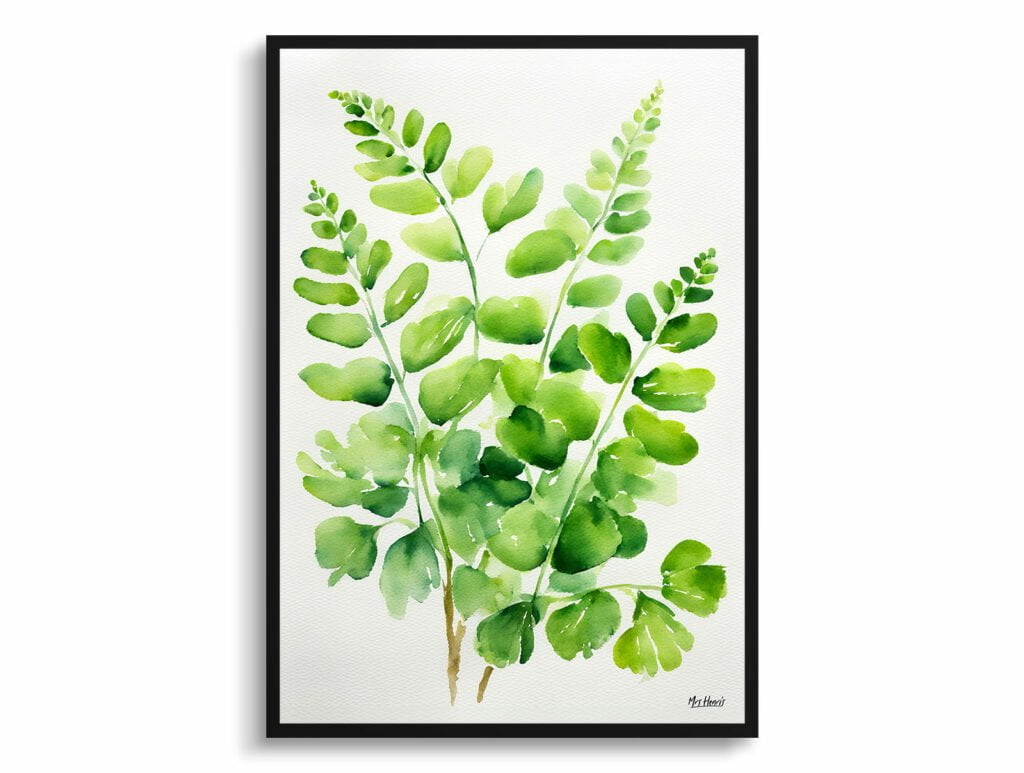 Northern Five-fingered Fern Watercolour Botanical Art Print - Adiantum ...