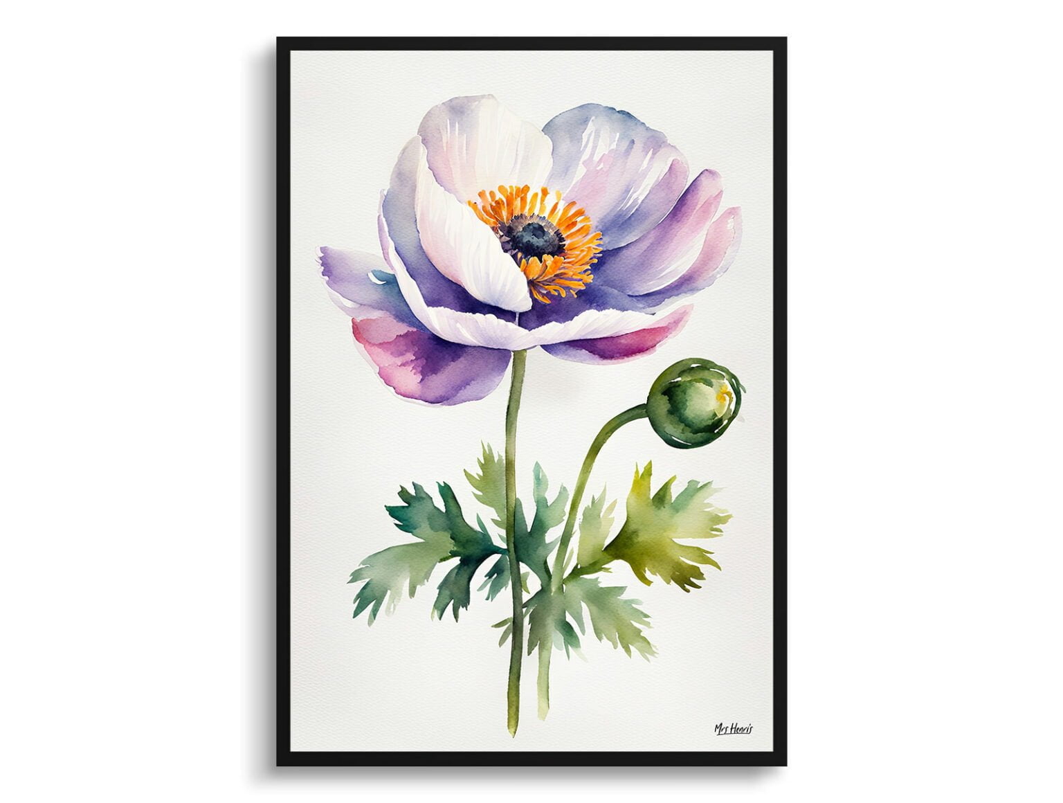 Windflower (Anemone) Watercolour Botanical Art Print - Thimbleweed ...