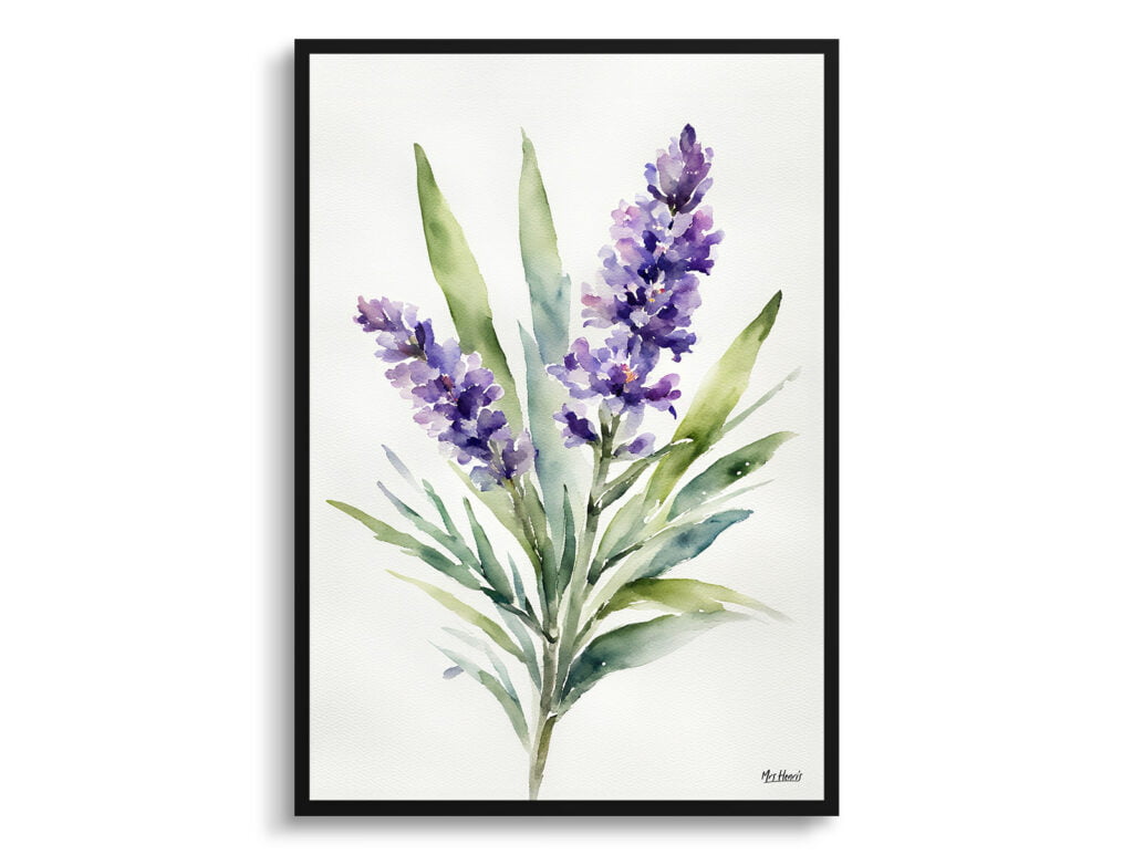 English Lavender Watercolour Botanical Art Print - Lavender Minimalist ...