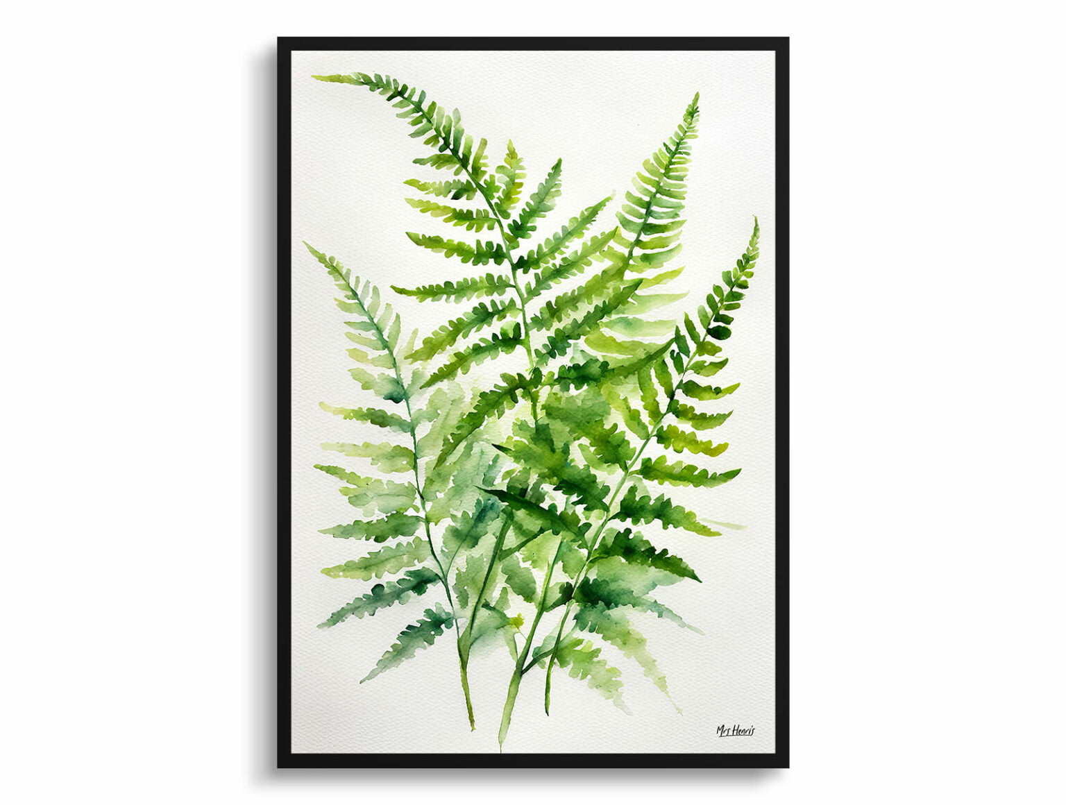 Sensitive Fern Watercolour Botanical Art Print - Onoclea Sensibilis ...