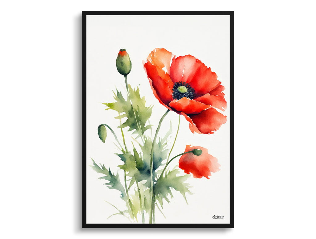 Common Flanders Watercolour Botanical Art Print - Poppy Minimalist ...