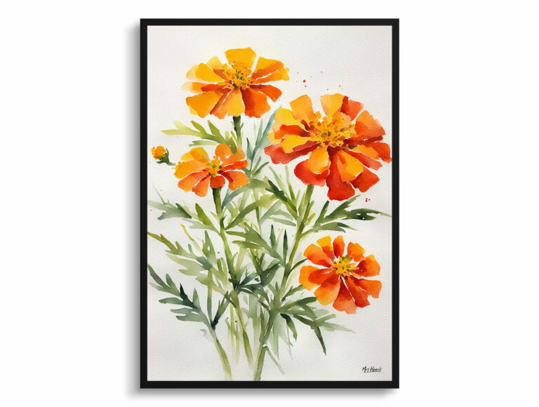 African Marigold Watercolour Botanical Art Print - Tagetes Cinnabar ...