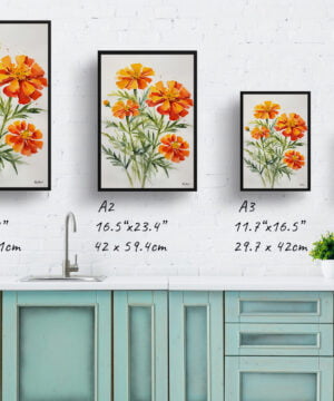 African Marigold Watercolour Botanical Art Print - Tagetes Cinnabar ...