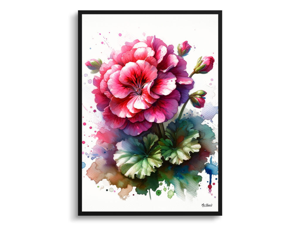 Geranium (Pelargoniums) Watercolour Botanical Art Print - Blotted ...