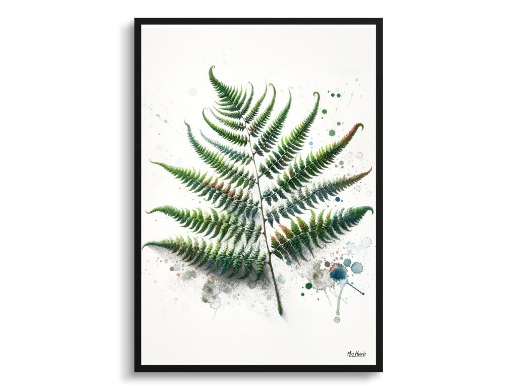Sensitive Fern (Onoclea) Watercolour Botanical Art Print - Blotted ...