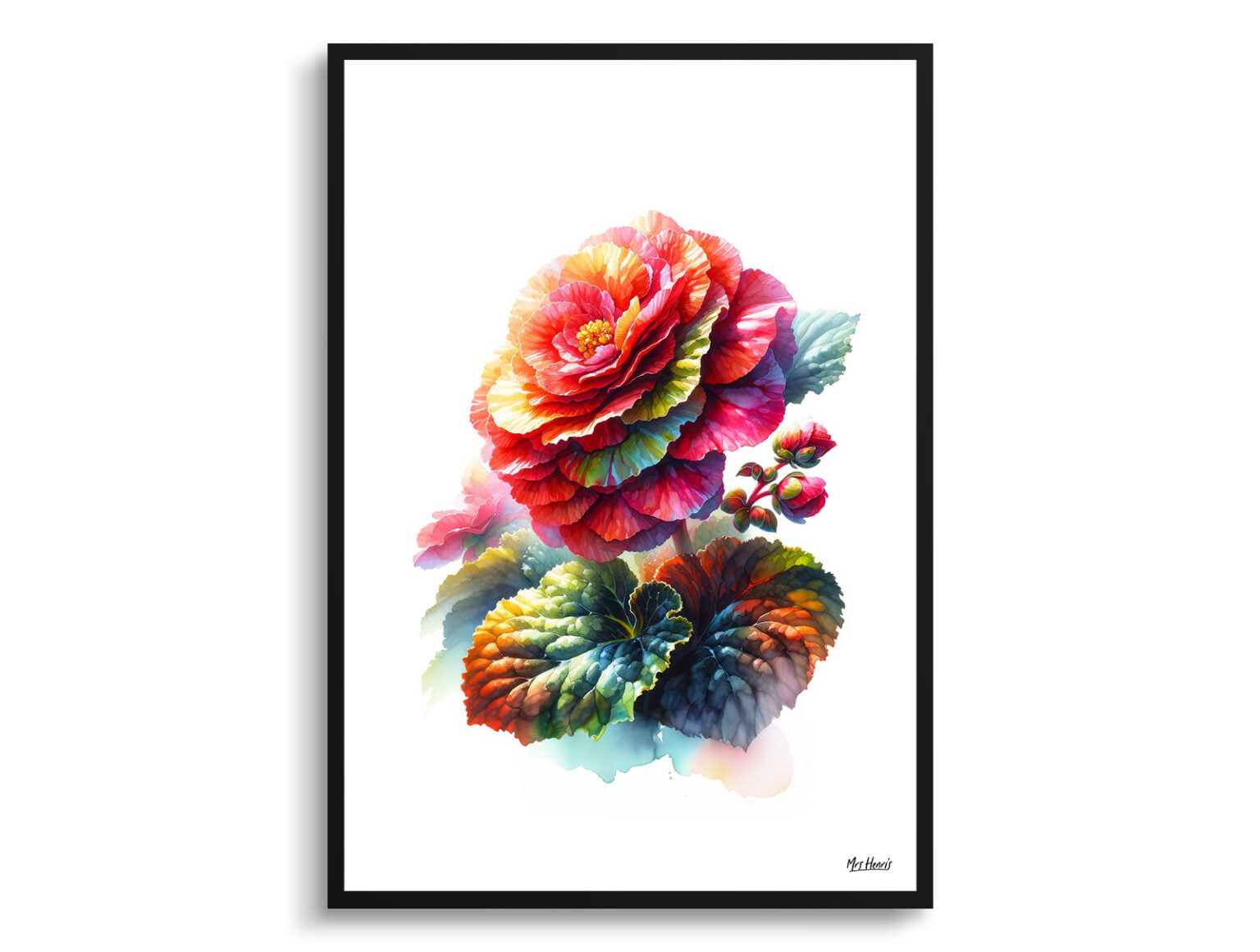 Begonia Inferno (Begonia) Watercolour Painting Style Art Print ...