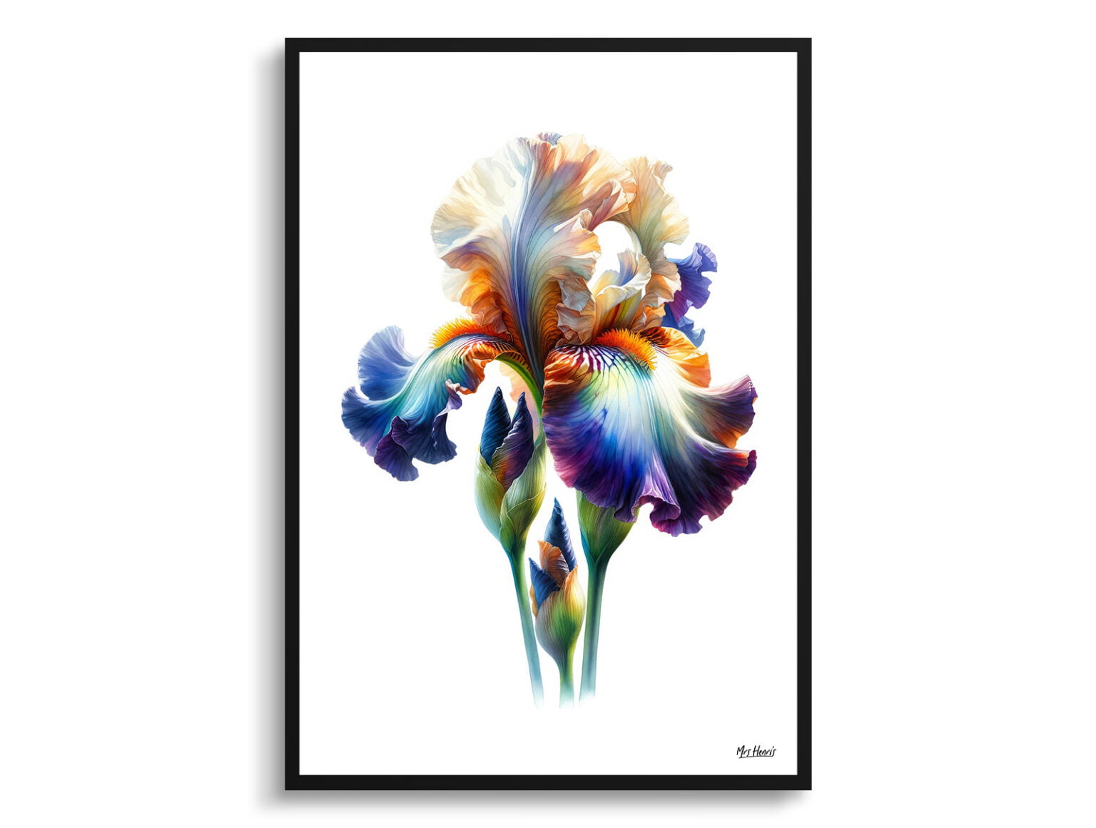 Iris (Fleur-de-lis) Watercolour Painting Style Art Print - Illustration ...