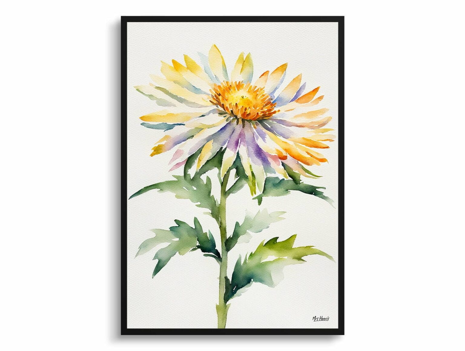 Michaelmas Daisy (Aster) Watercolour Botanical Art Print - Minimalist ...