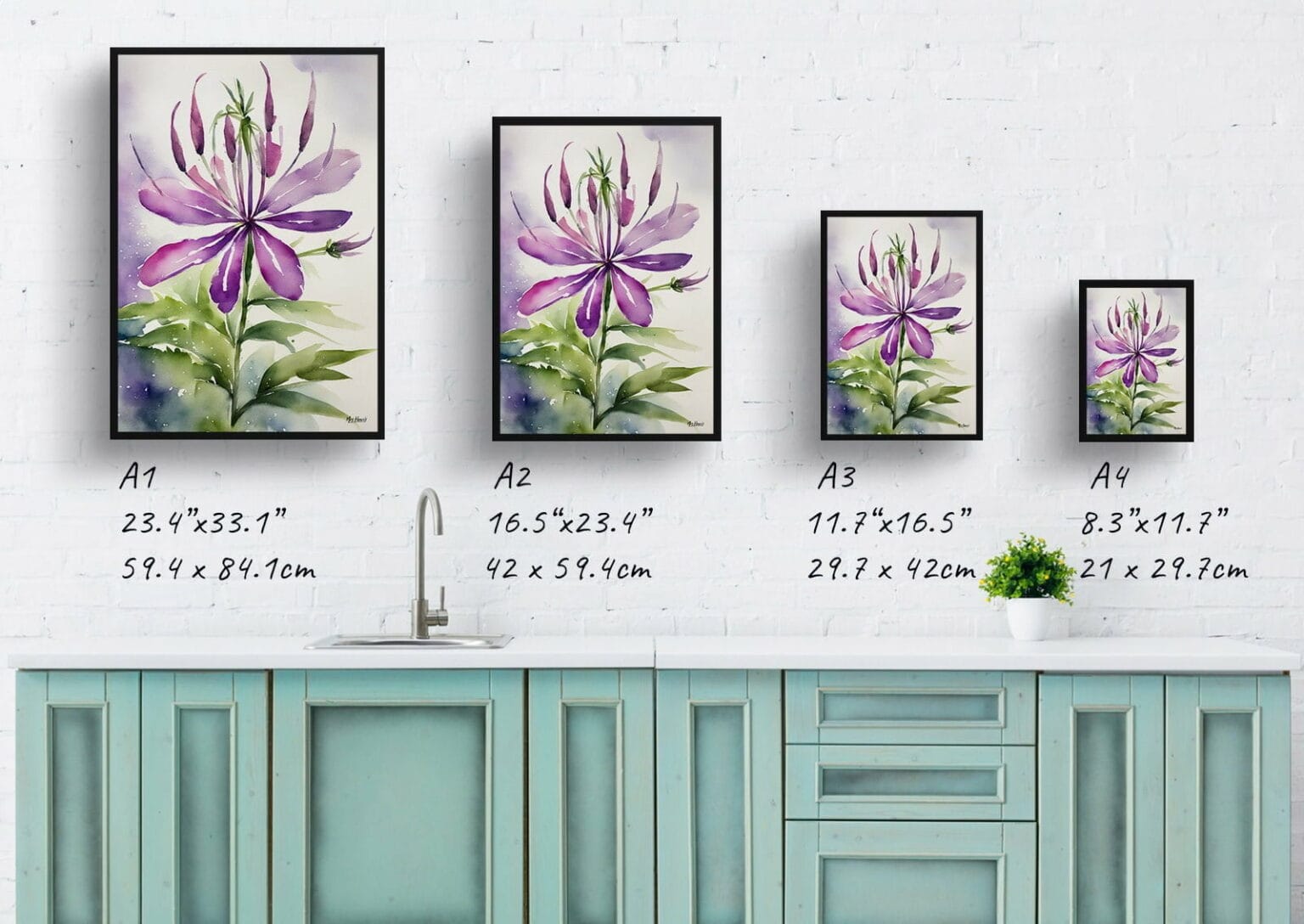 Spider flower (Cleome) Watercolour Botanical Art Print - Violet Queen ...
