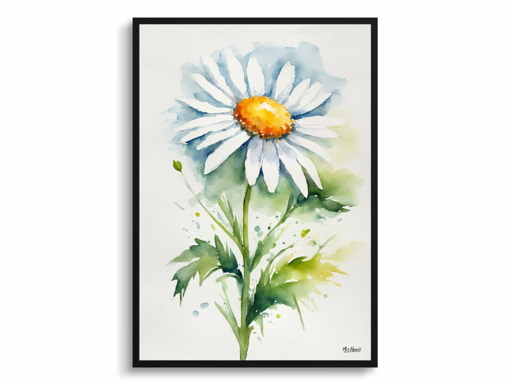 Oxeye Marguerite Watercolour Botanical Art Print - Daisy Minimalist ...