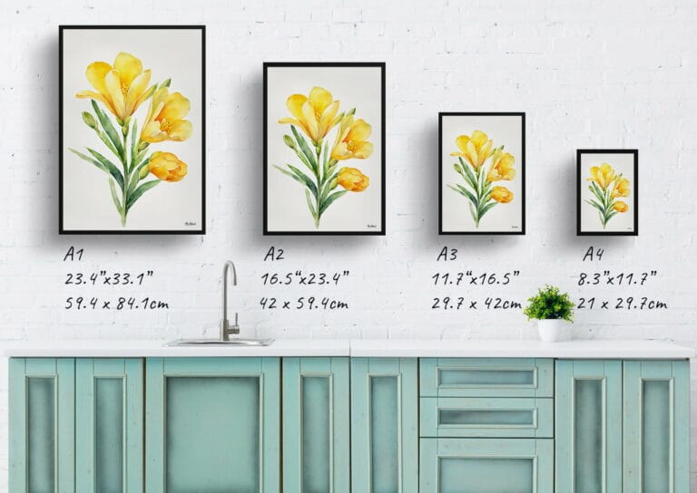 Cape-cowslip Watercolour Botanical Art Print - Freesia Minimalist ...