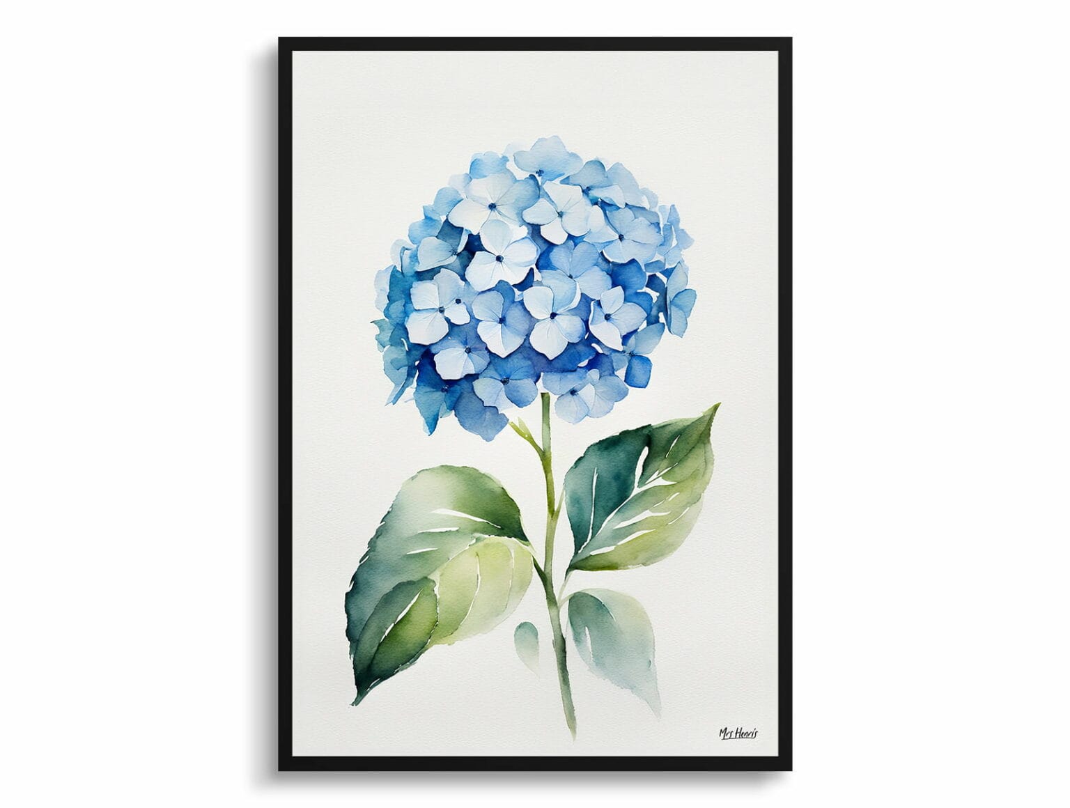 Hortensia Watercolour Botanical Art Print - Hydrangea Minimalist Framed ...