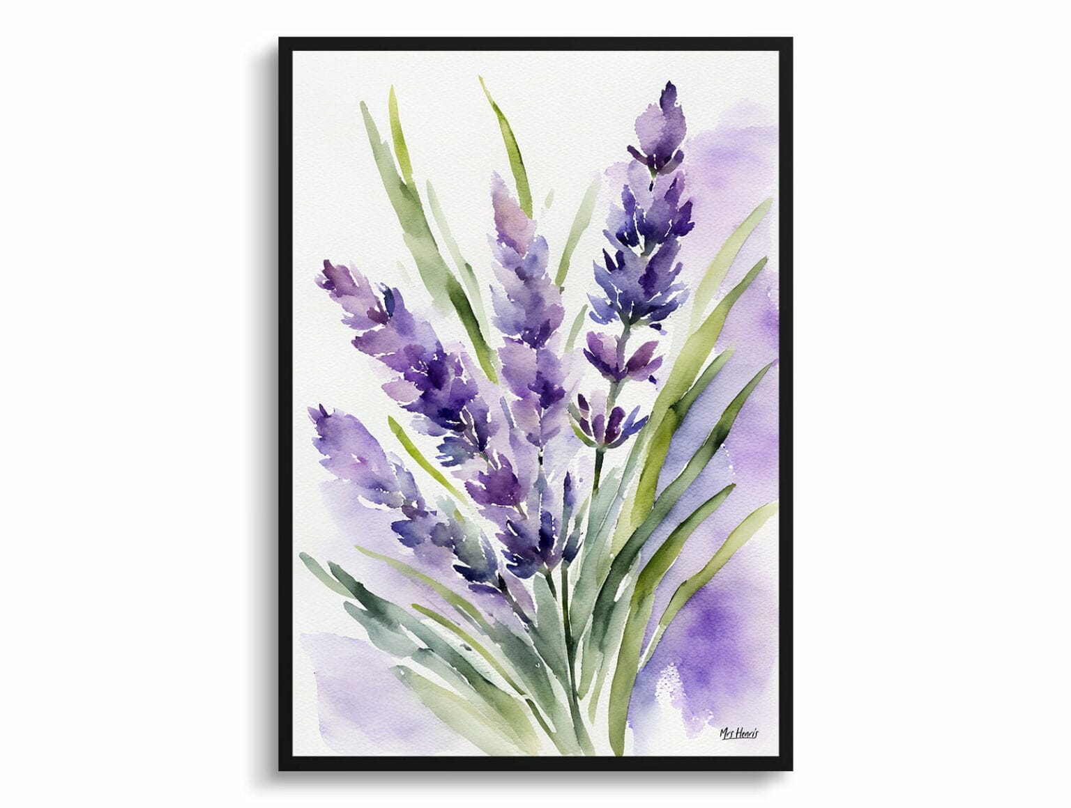 English Lavender Watercolour Botanical Art Print - Framed Plant Wall ...