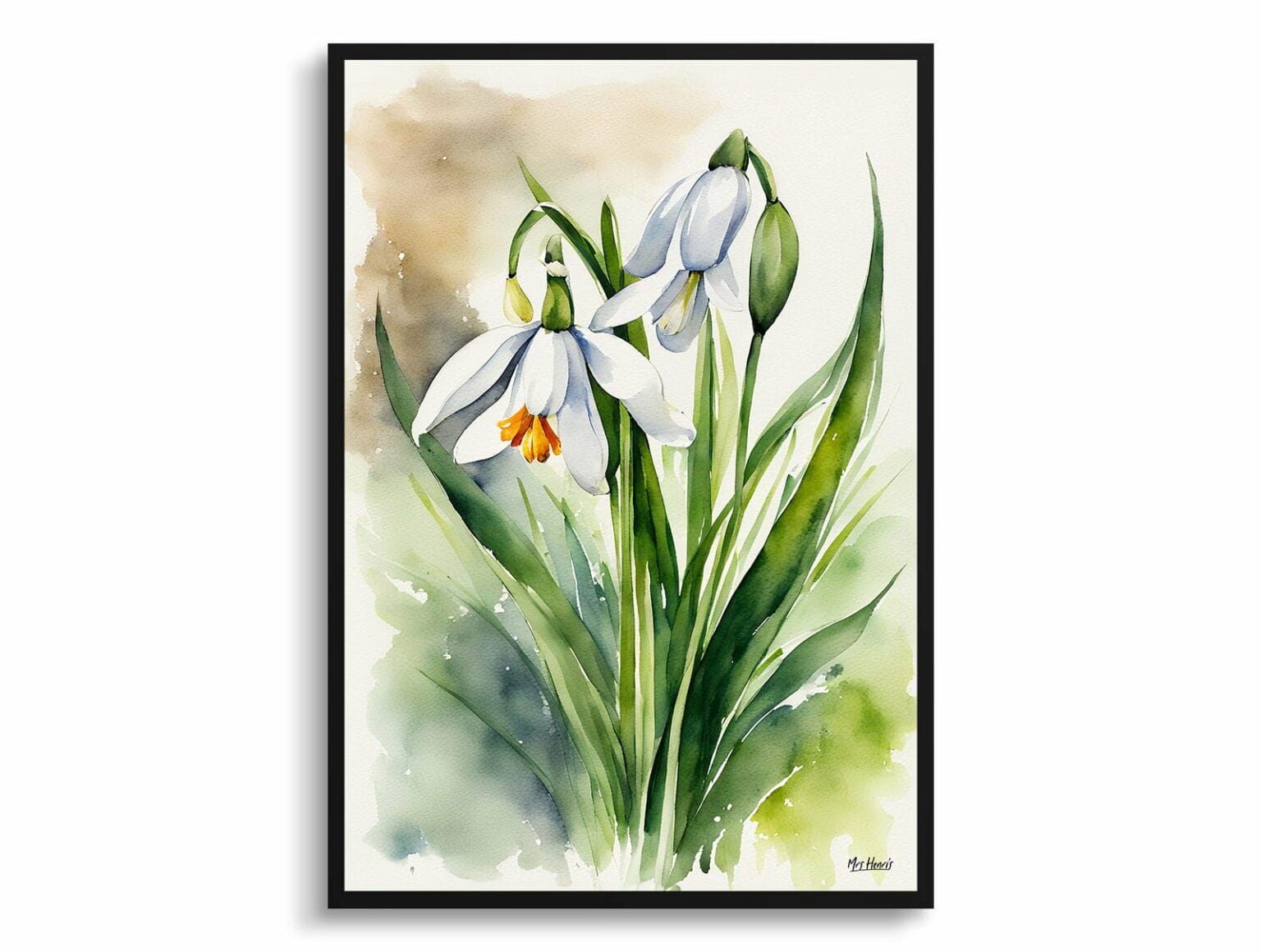 Giant Summer Snowflake Watercolour Botanical Art Print - Leucojum ...