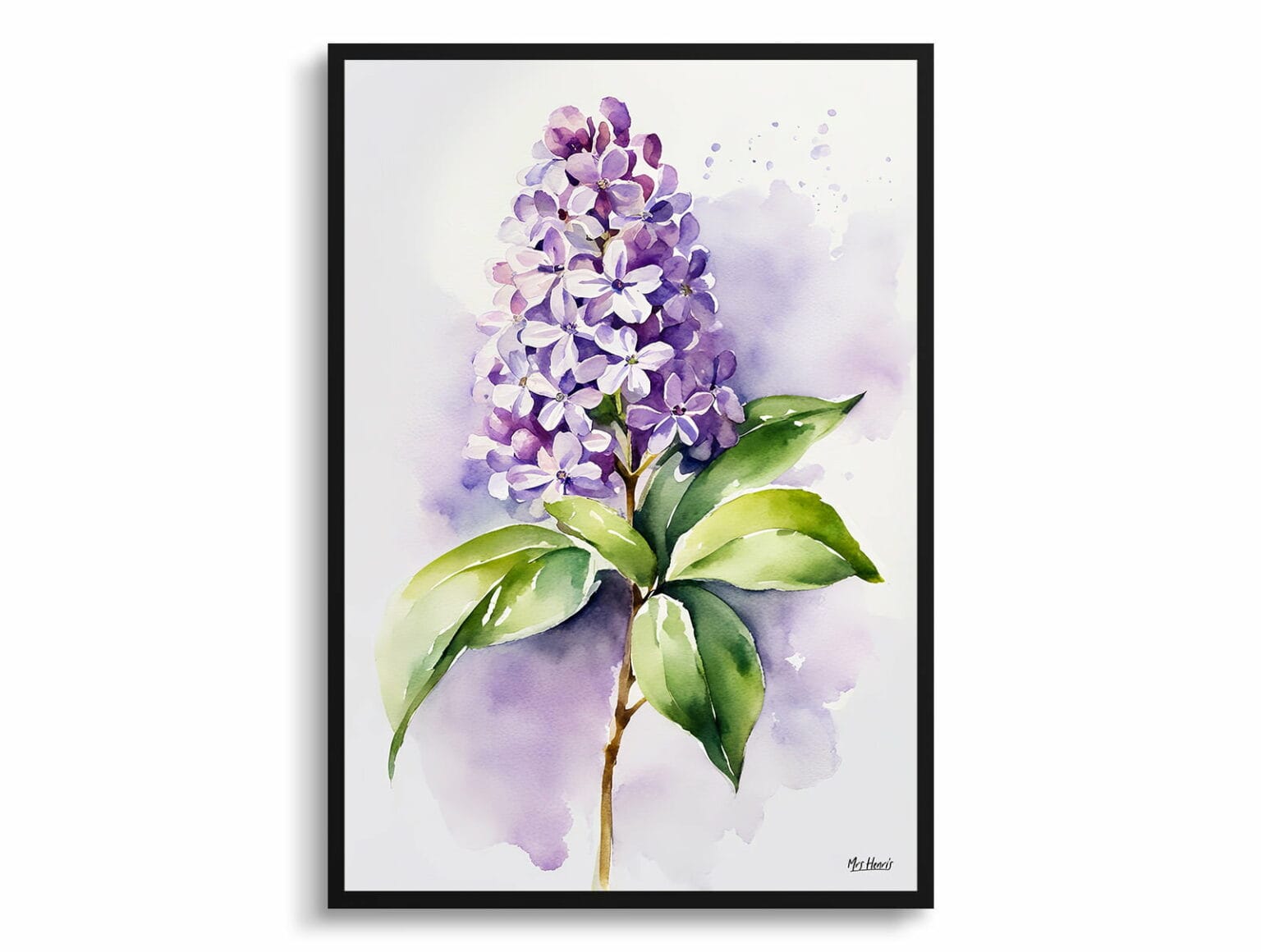 French Lilac Watercolour Botanical Art Print - Framed Plant Wall Art