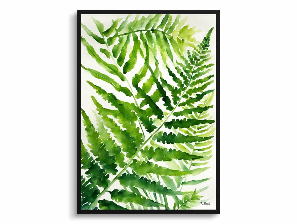Sensitive Fern Watercolour Botanical Art Print - Onoclea Sensibilis ...