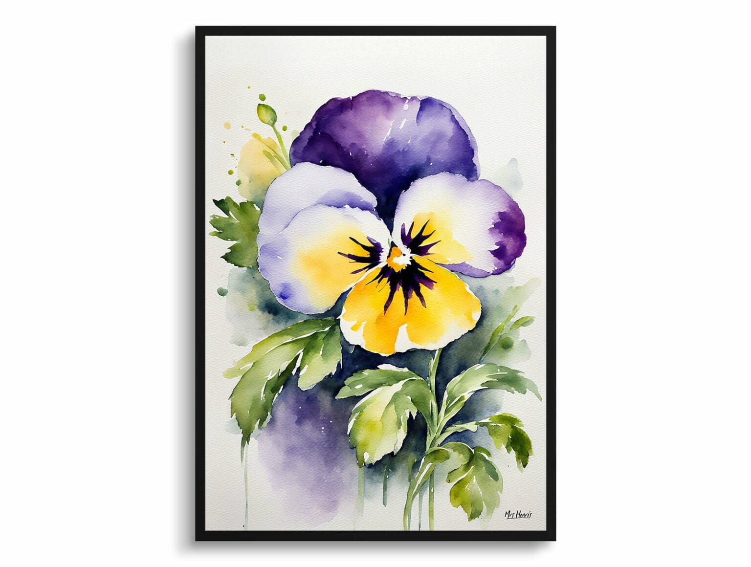 Pansy Heartsease Watercolour Botanical Art Print - Viola Framed Plant ...
