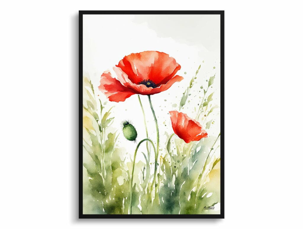 Common Flanders Watercolour Botanical Art Print - Poppy Framed Plant ...