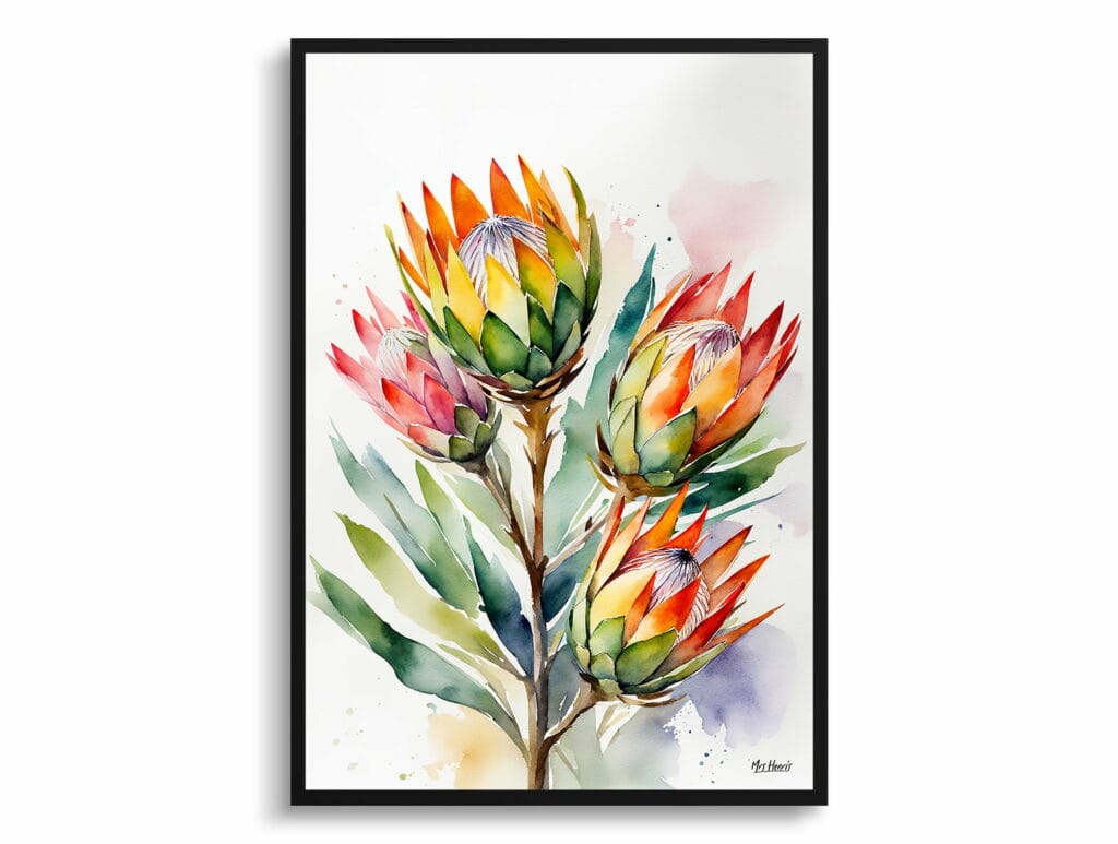 King Protea Sugarbush Watercolour Botanical Art Print - Proteas Framed ...