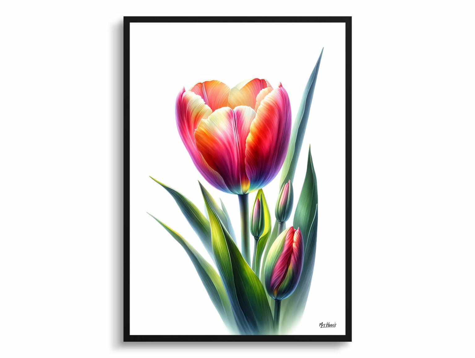 Tulip (Tulipa) Watercolour Painting Style Art Print - Illustration ...