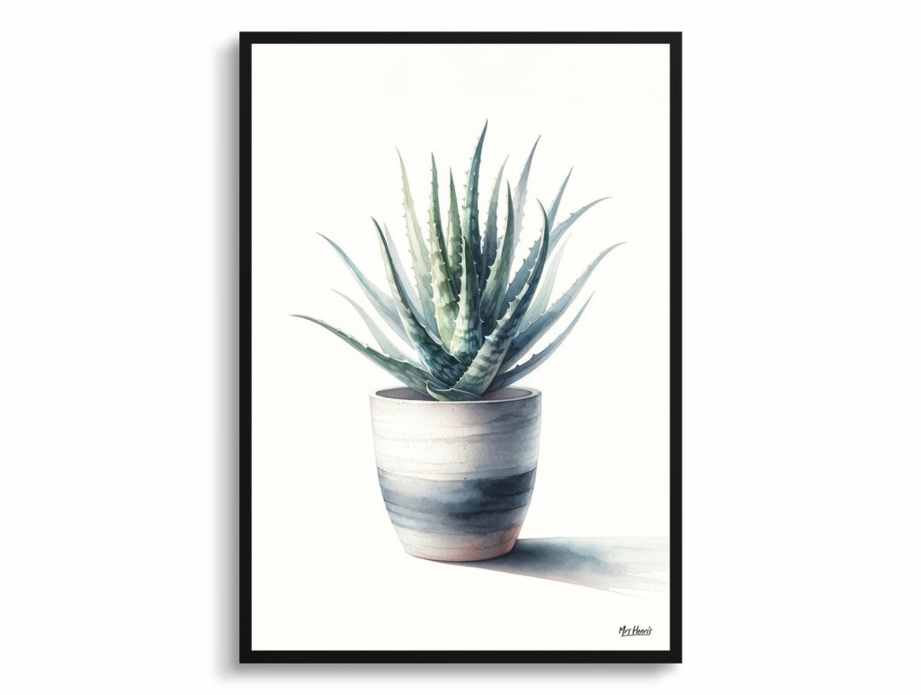 Aloe vera (Aloe barbadensis) Watercolour Style Art Print - Illustration ...