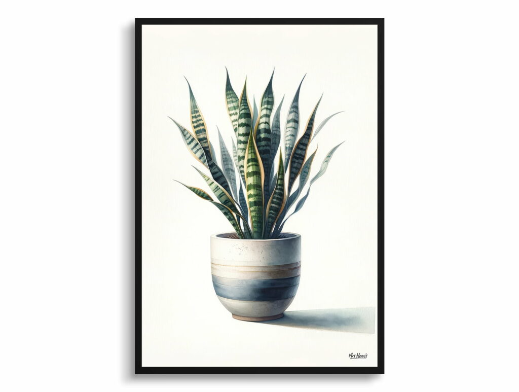 Snake Plant (Dracaena trifasciata) Watercolour Style Art Print ...